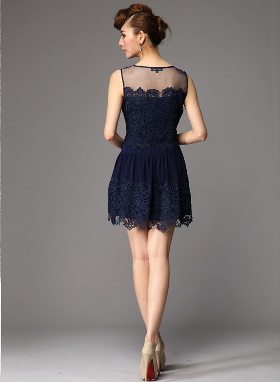 Sheer Shoulders Lace Embroidery Sleeveless Dress on Luulla